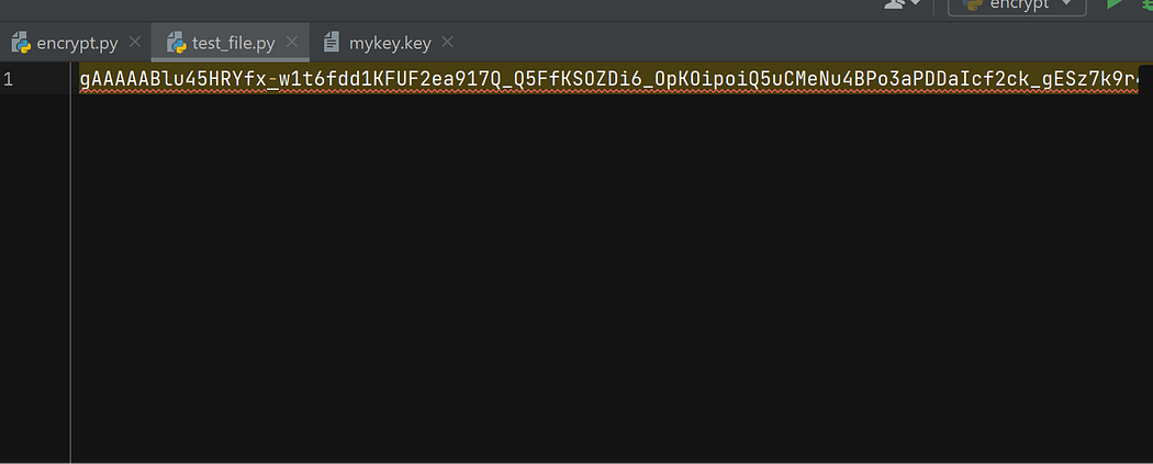 Unveiling the Secrets of Code Securing Mechanism (Python) - TenX